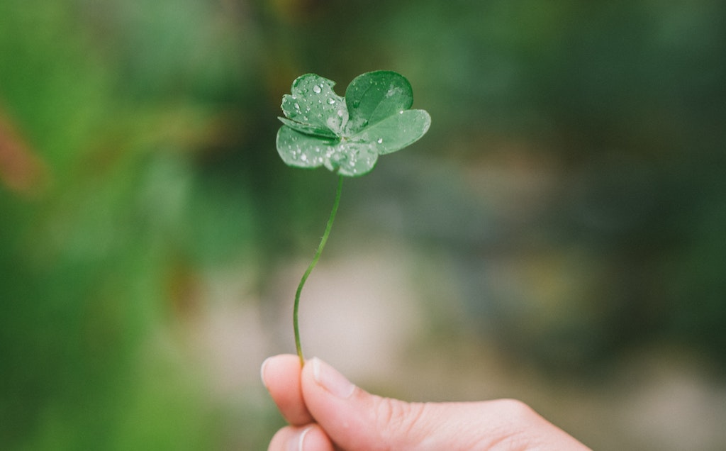 Erin Go Brách: How My Irish Heritage Found Me